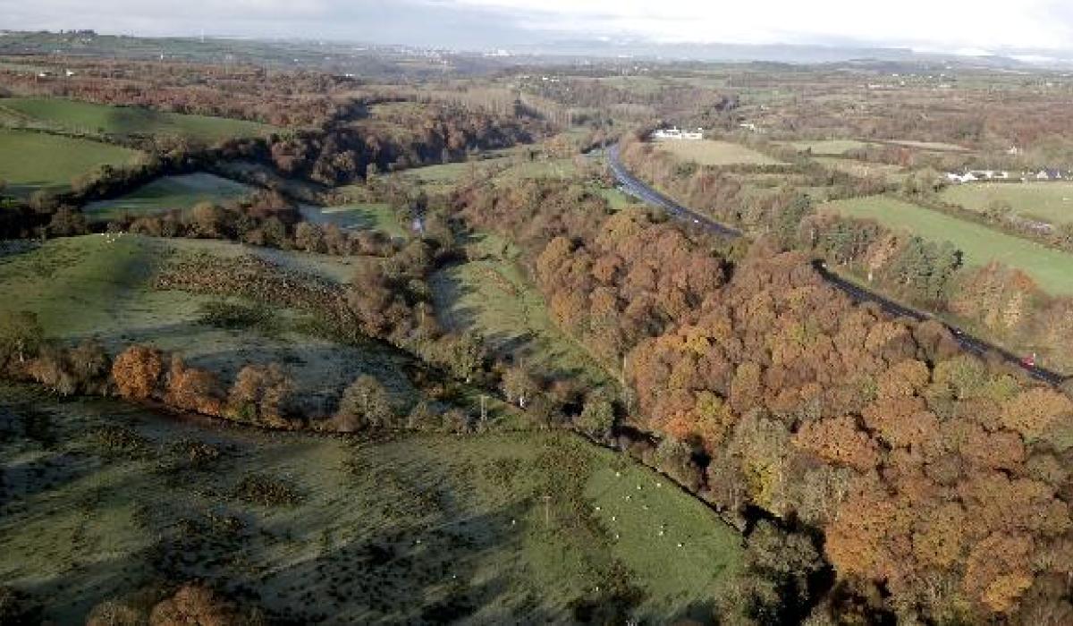 'Green exercise ' in Derry's ancient woodlands the key to good health ...