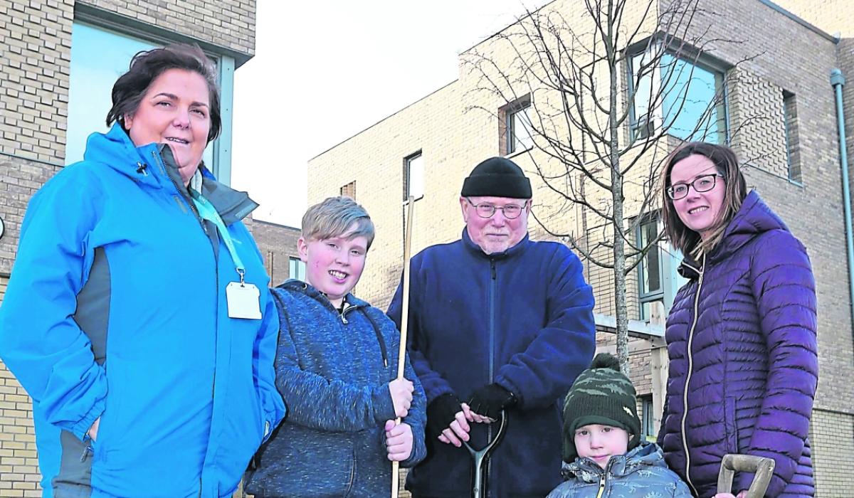 New trees planted to spruce up Derry housing developments - Derry Now