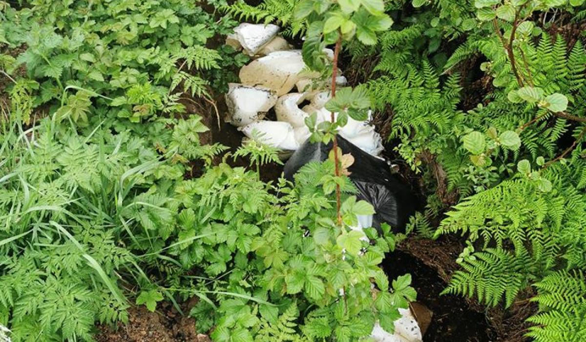 ‘Disgust’ as soiled incontinence pads dumped in stream - Derry Now