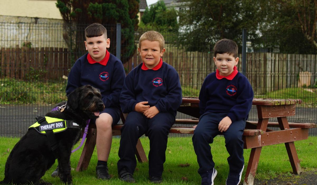 Derry school becomes the first mainstream school in Northern Ireland to ...