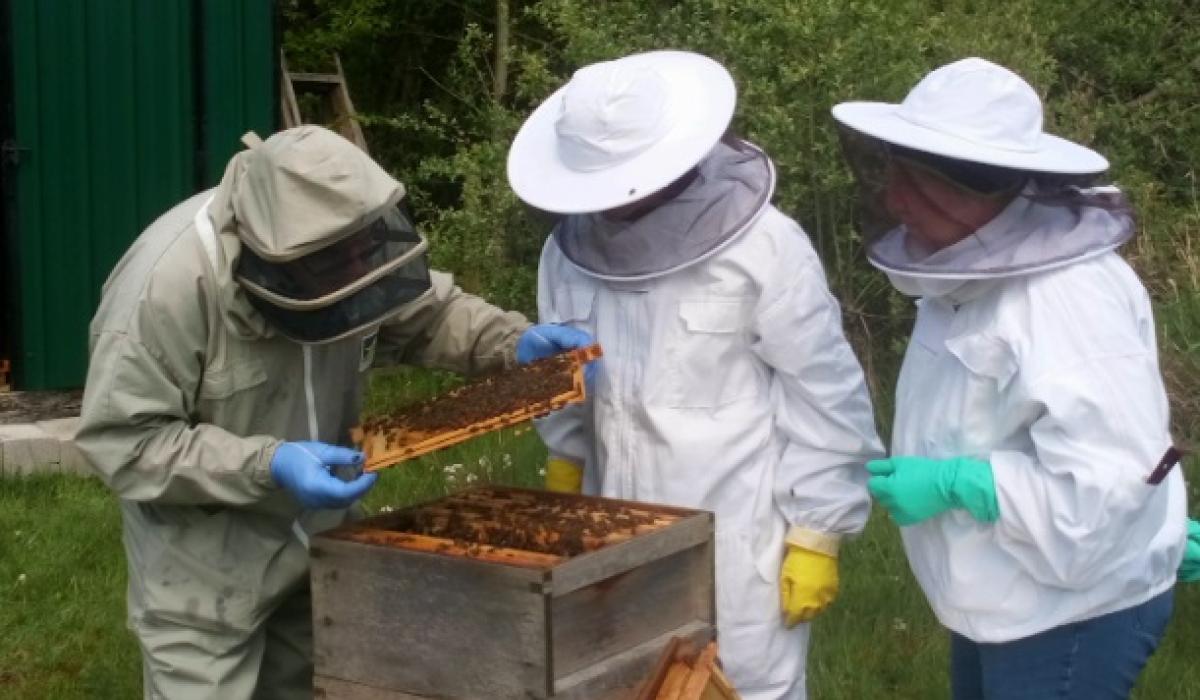 Derry group offering course that may BEE right for you? - Derry Now