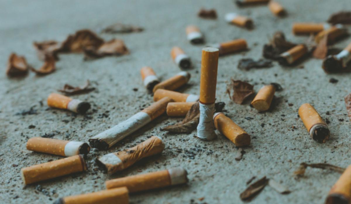 Council has 'lost support of the public' over litter enforcement ...