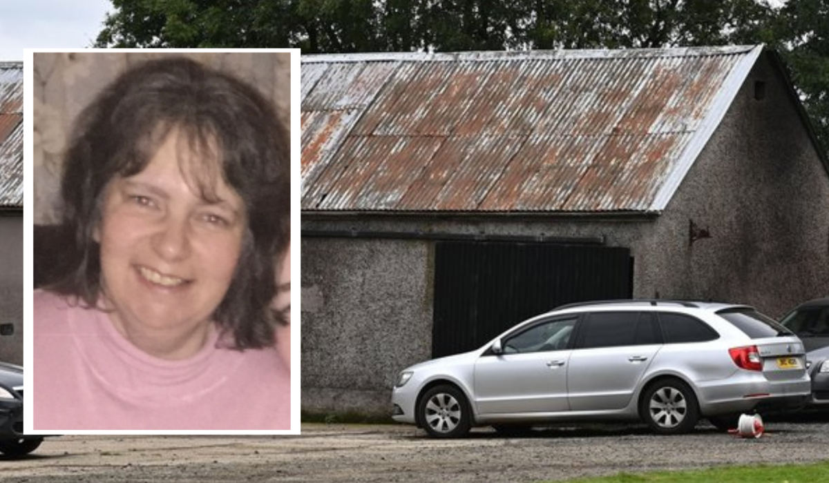 Defendant in County Derry murder at risk of self-harm, court told ...