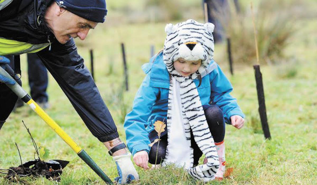 Tree-planting event at Derry wood - Photo 2 of 2 - Derry Now