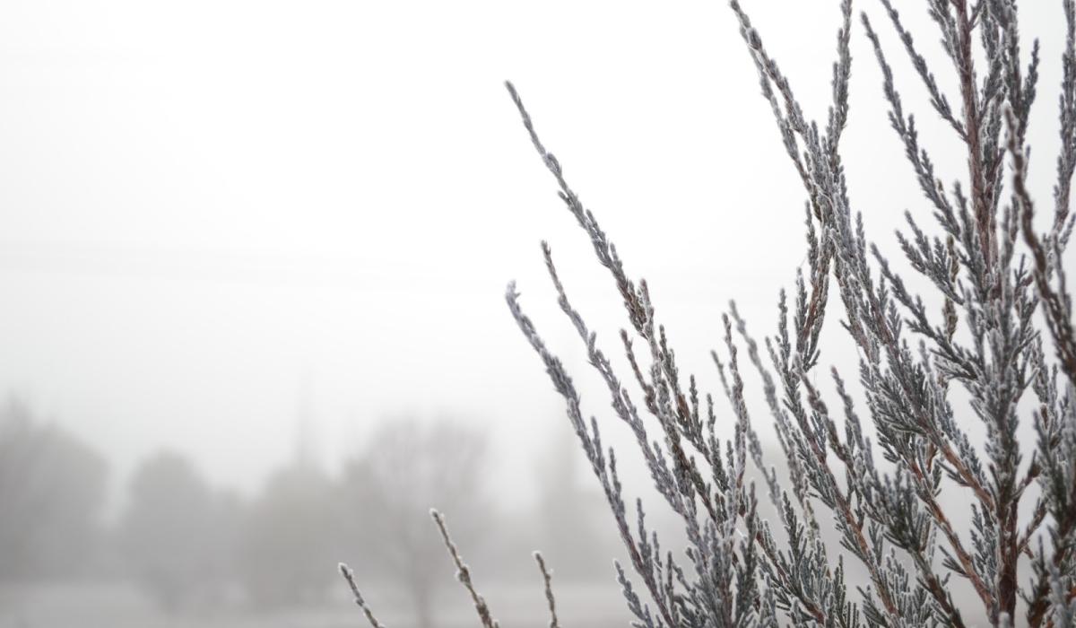 Weather: Frosty at first with rain later - Photo 2 of 2 - Derry Now