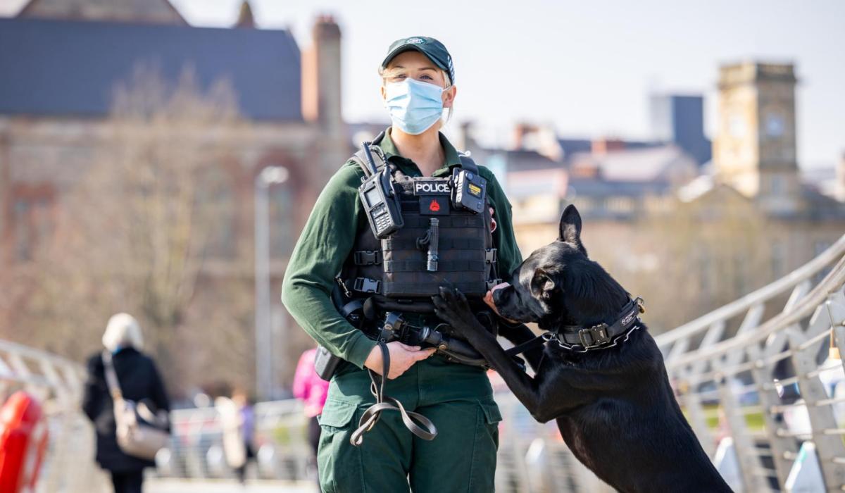 PSNI launch new Dog Section in County Derry - Derry Now