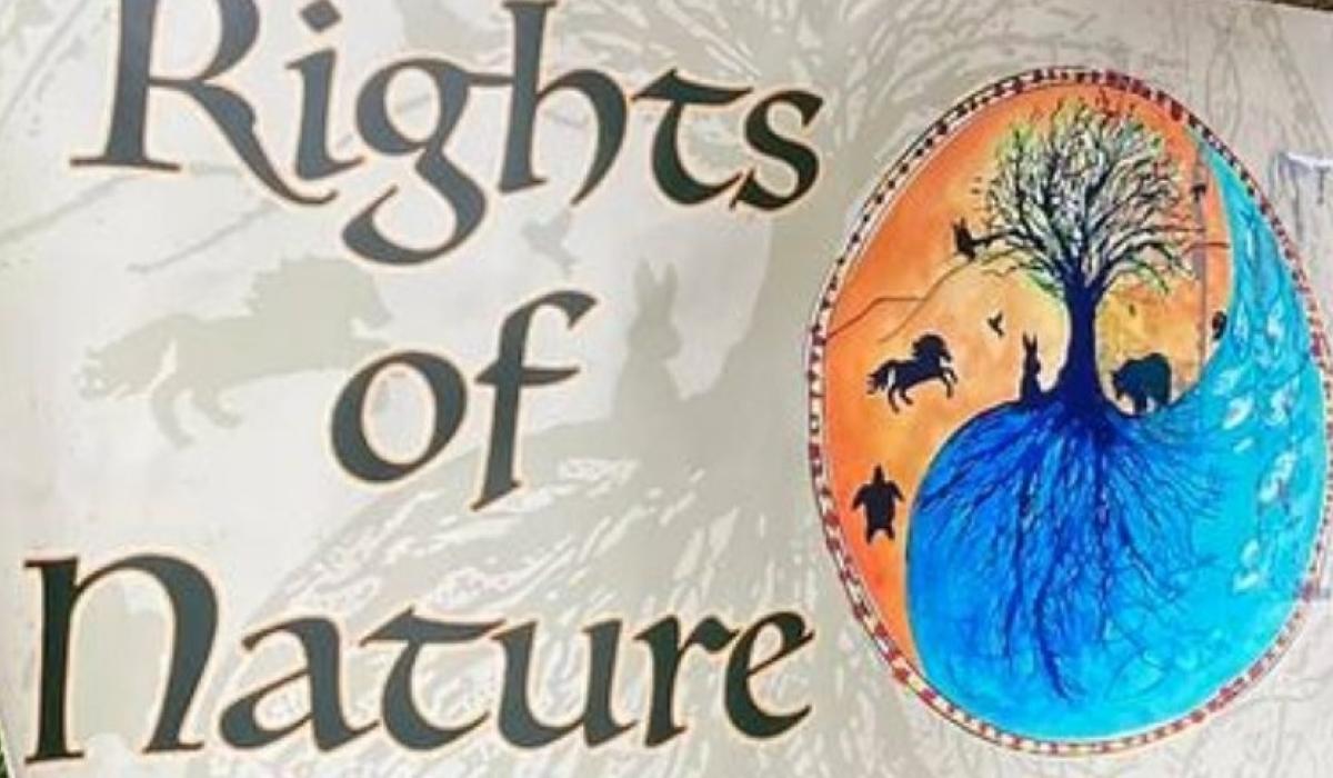 'Rights of Nature' movement film premiering in Derry - Derry Now