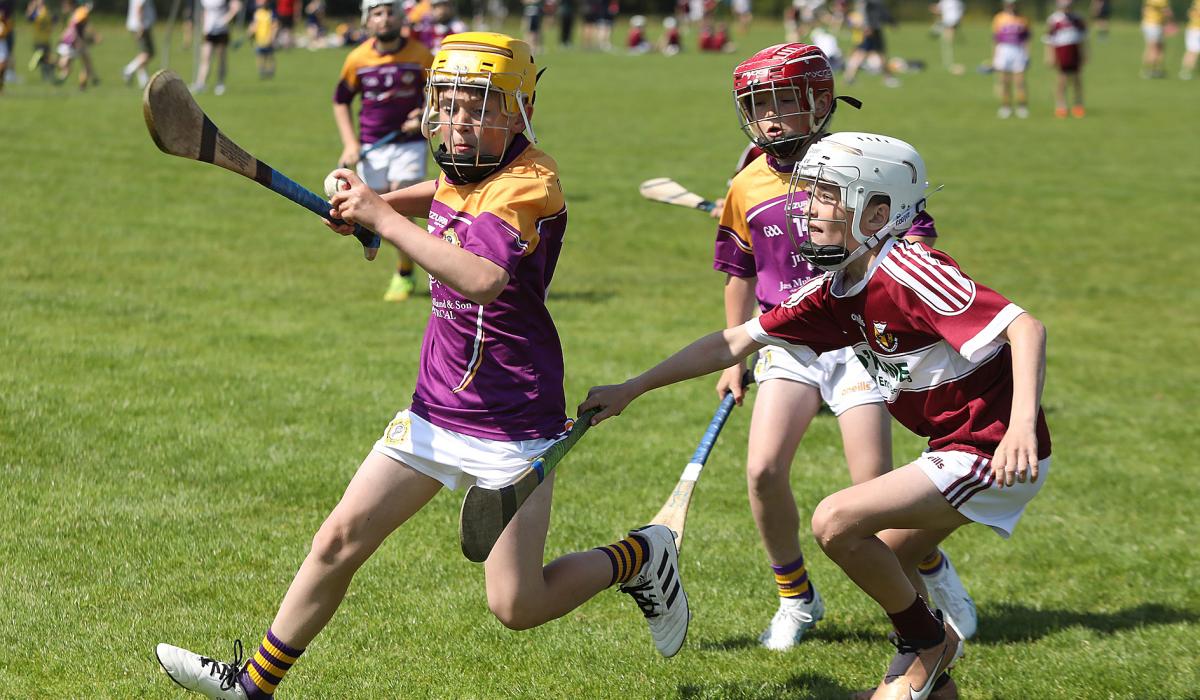 'He wanted the wains to have a hurl in their hands from whatever age ...