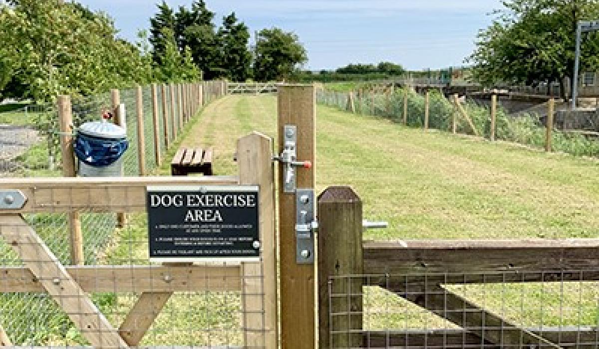 Derry and Strabane District Council to explore dedicated dog exercise ...