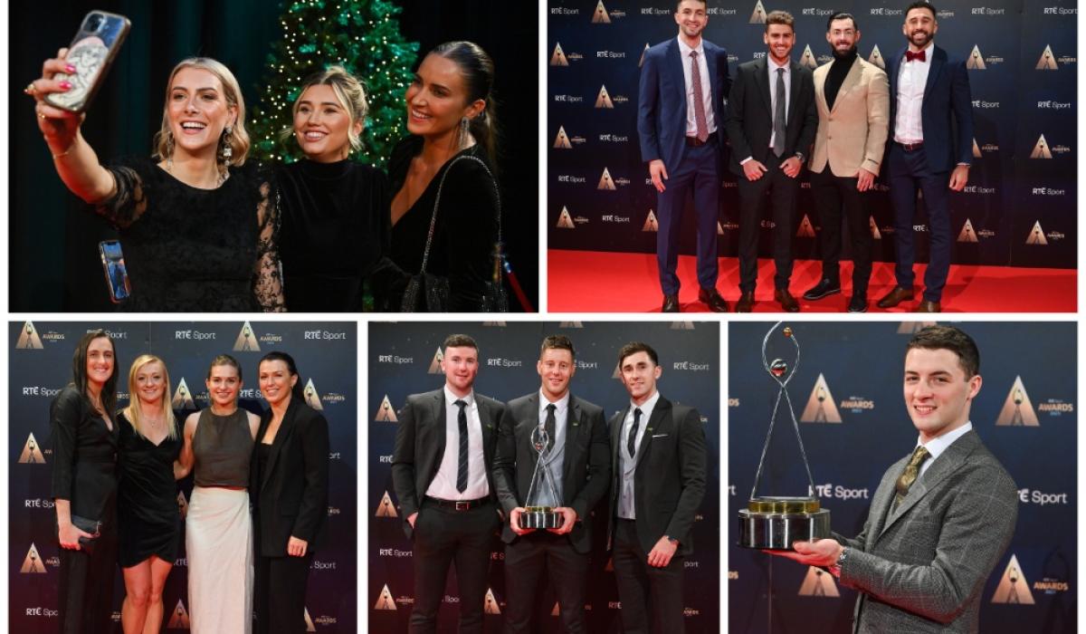 PICTURES: All the glamour from RTÉ Sports Awards as Rhys McClenaghan scoops top award - Page 1 ...