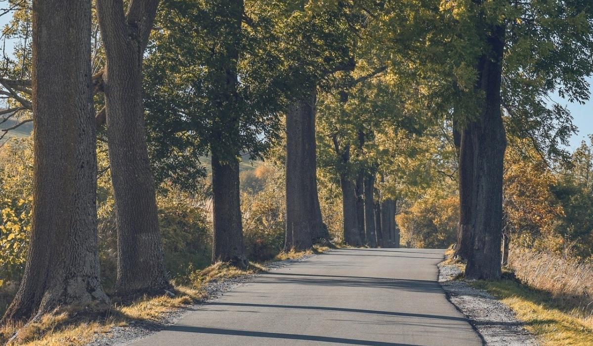 O’Dowd announces road improvement scheme at B192 Foreglen Road, Claudy ...