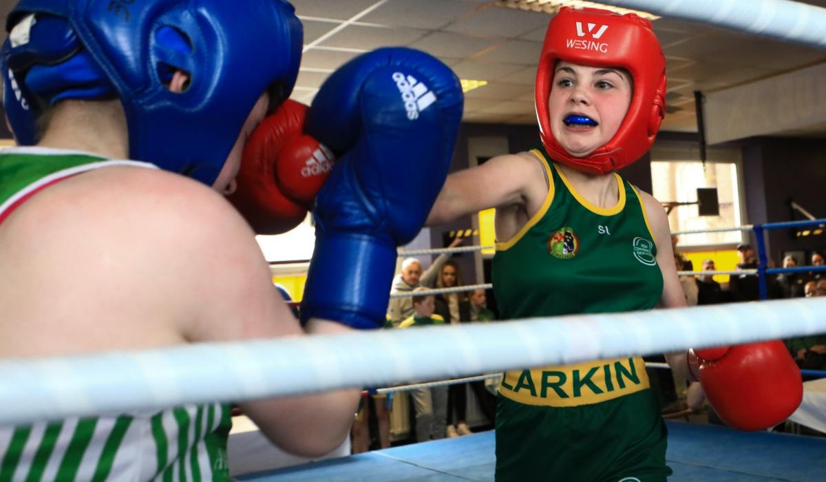IN PICTURES: Derry boxers compete in Ulster Championships at Rochesters ...