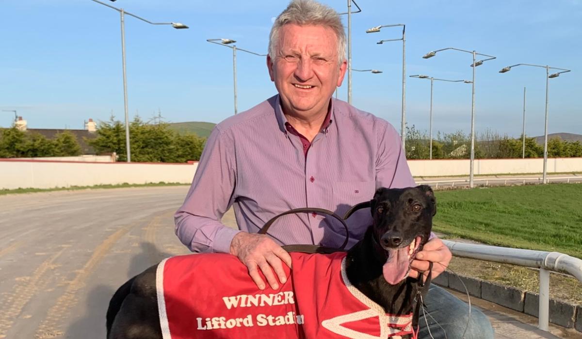 Greyhounds: 1,000 wins and counting for Derry man William Mullan ...