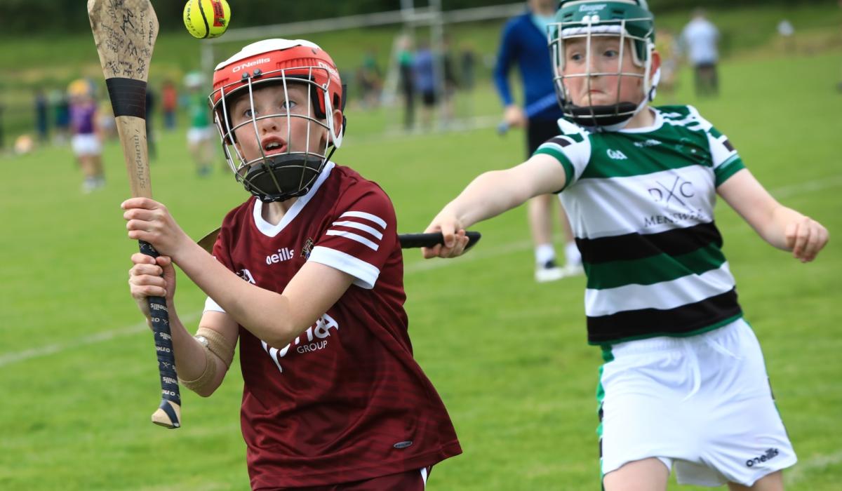 IN PICTURES: Sean Mellon Festival of Hurling at Na Magha - Page 1 of 18 ...
