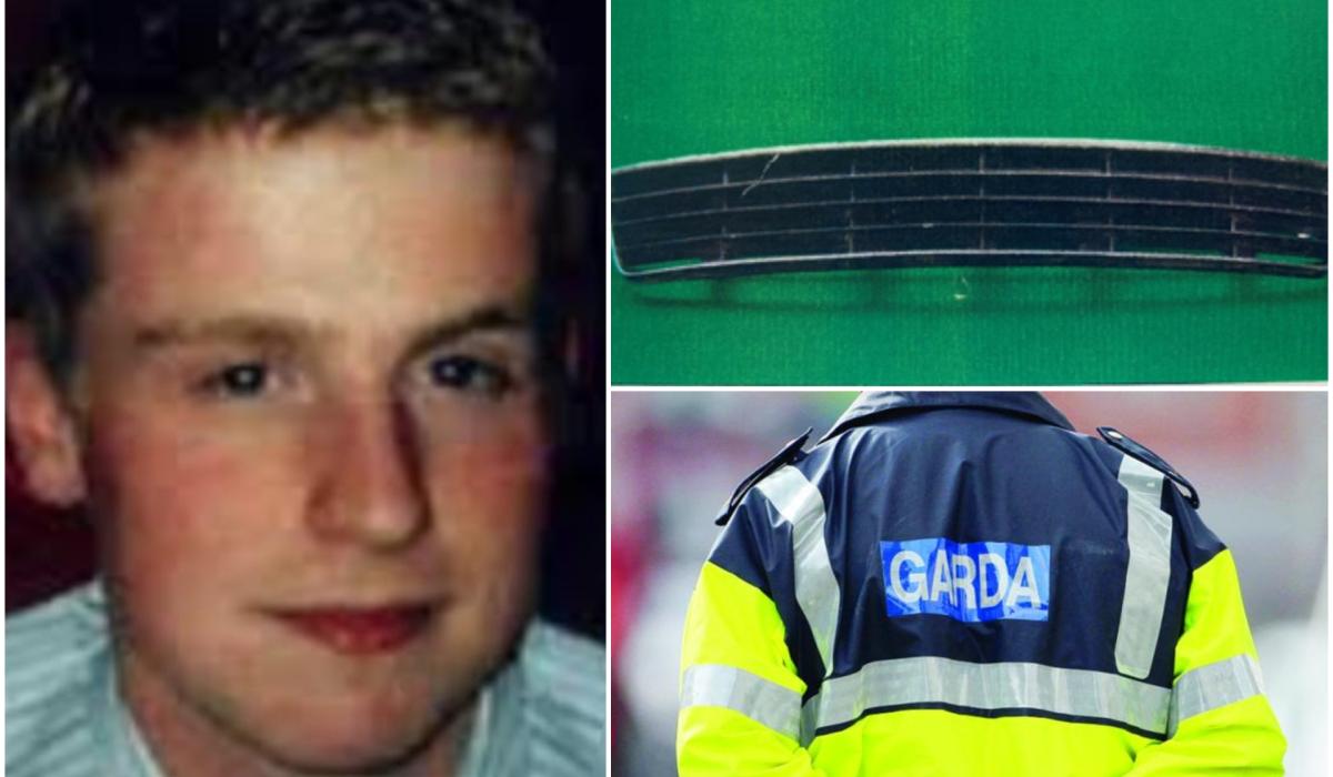 Gardaí hope new information will solve hit and run crash death 13 years on - Derry Now