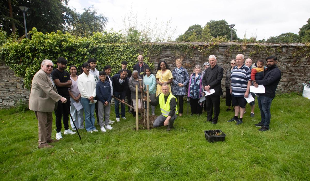 Trees planted in memory of two Derry teenagers who tragically died in ...