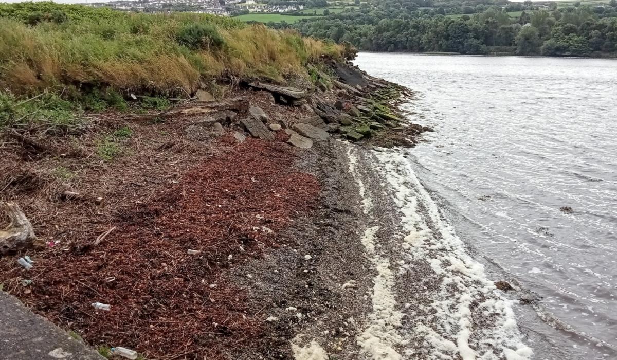 Clean-up of Derry's River Foyle embankment welcomed - Derry Now