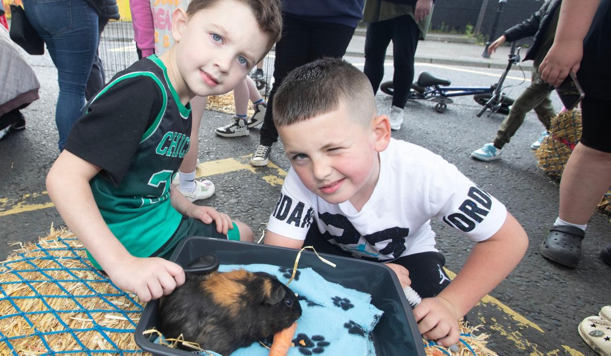 IN PICTURES: Féile Derry - Lunasa 'Wan Big Street Party' in Creggan ...