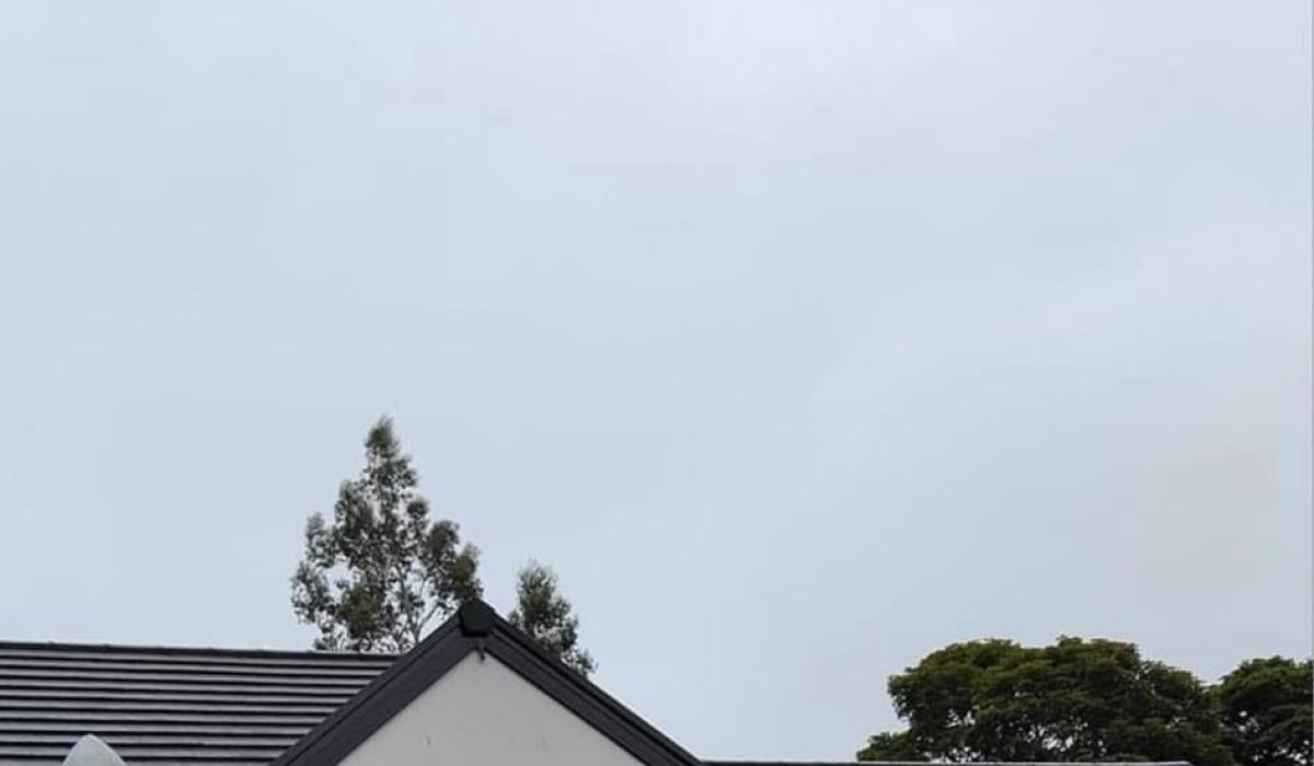 'Vile and hate-driven' graffiti in Derry condemned - Derry Now