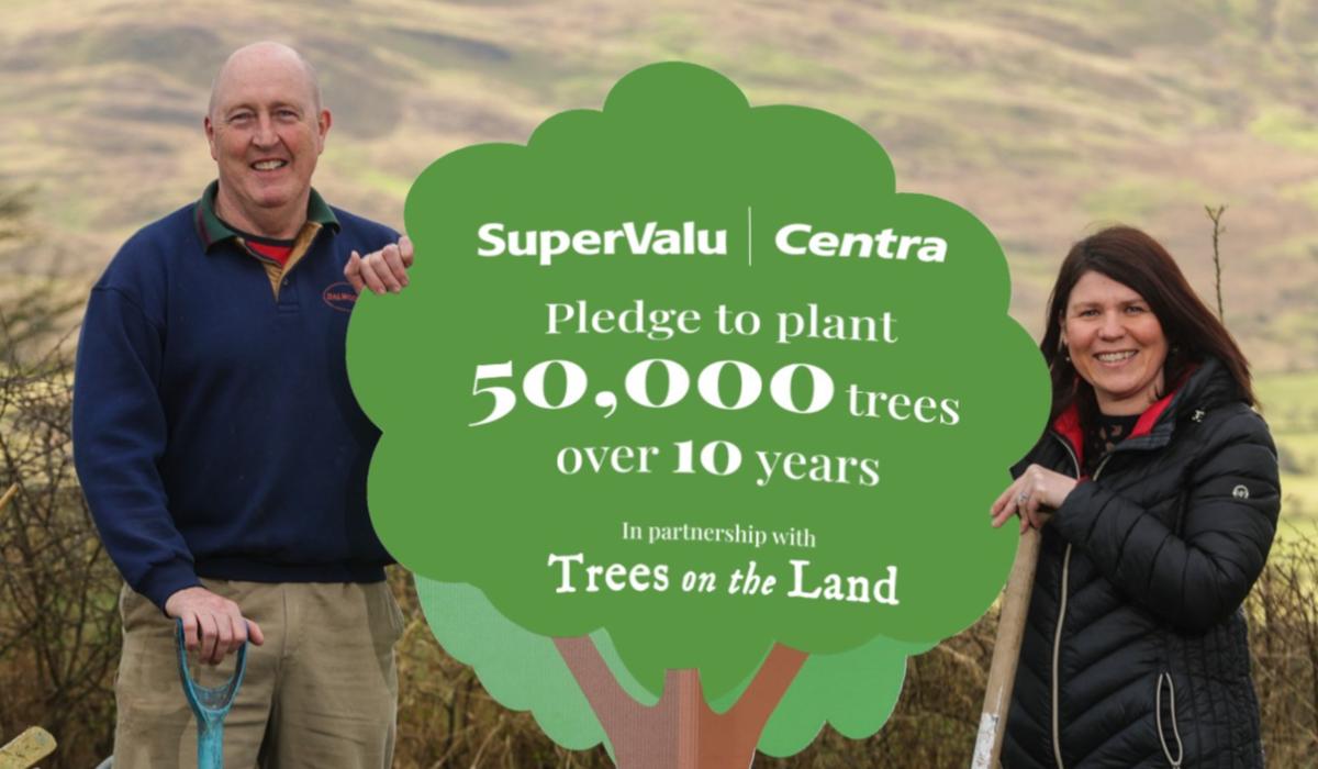 Planting project encourages Derry community groups to apply for trees ...