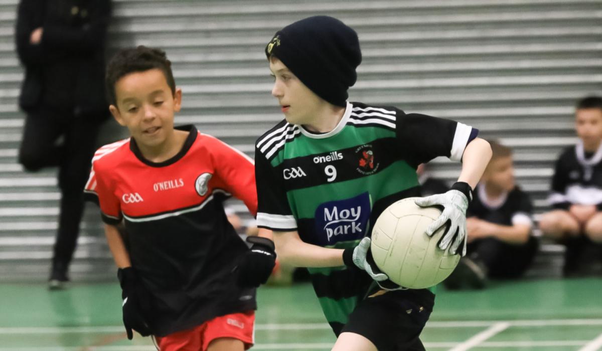 IN PICTURES: Boys Indoor Primary School GAA Blitz held in Derry's ...