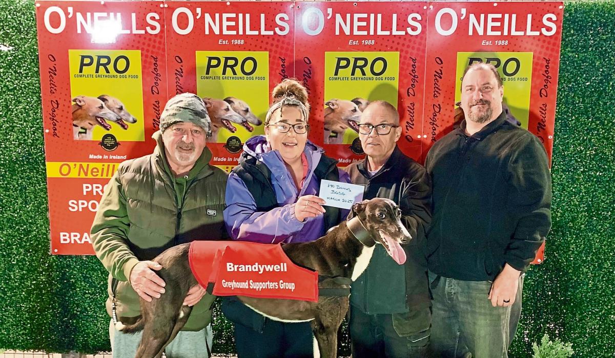 Derry Greyhounds: Diegos Manna lands the Micky Concannon Memorial 500 ...