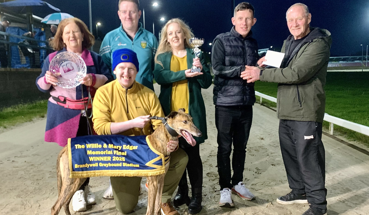 Derry Greyhounds: Starcash Barry wins the Edgar Memorial final - Derry Now