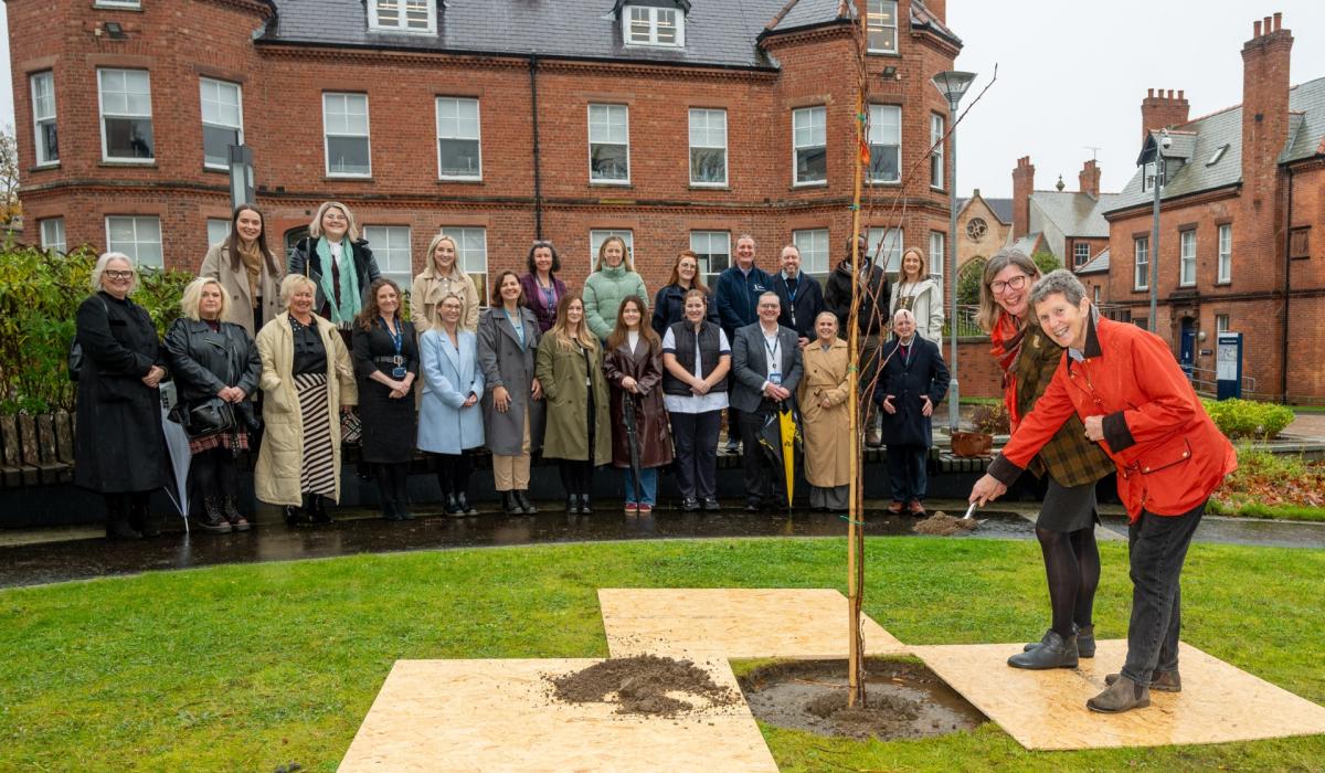 Memorial tree at Derry's Ulster University pays tribute to healthcare ...