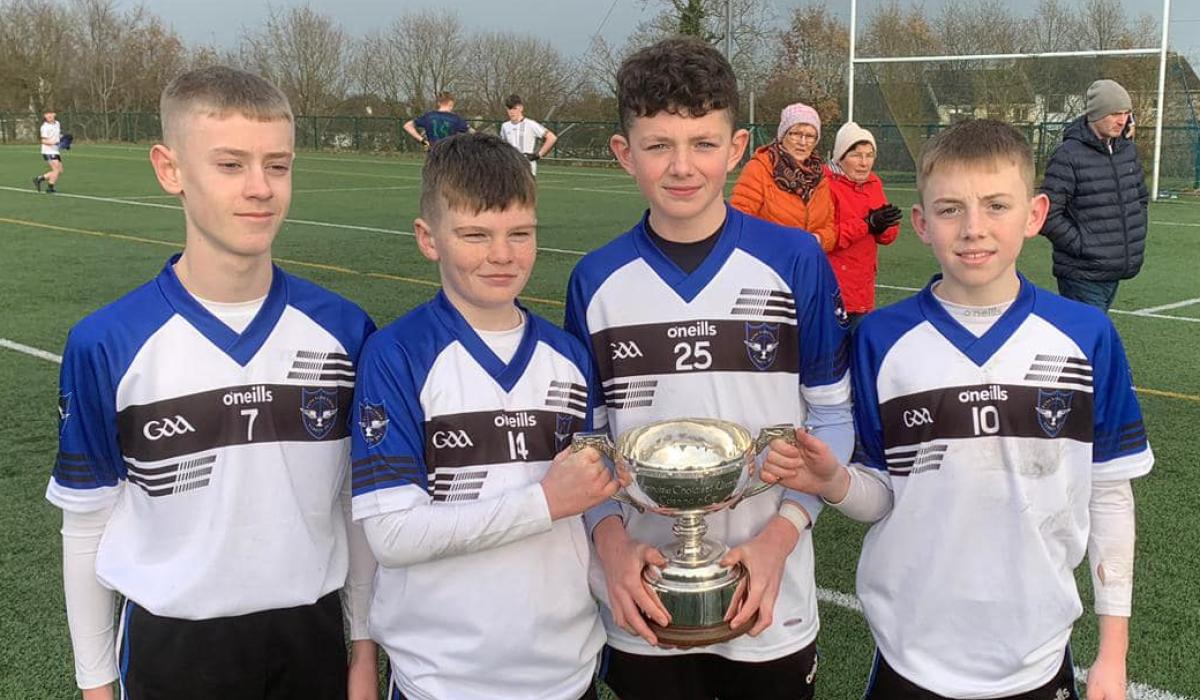 IN PICTURES: Corn na nÓg final success for St. Patrick's Maghera - Page ...