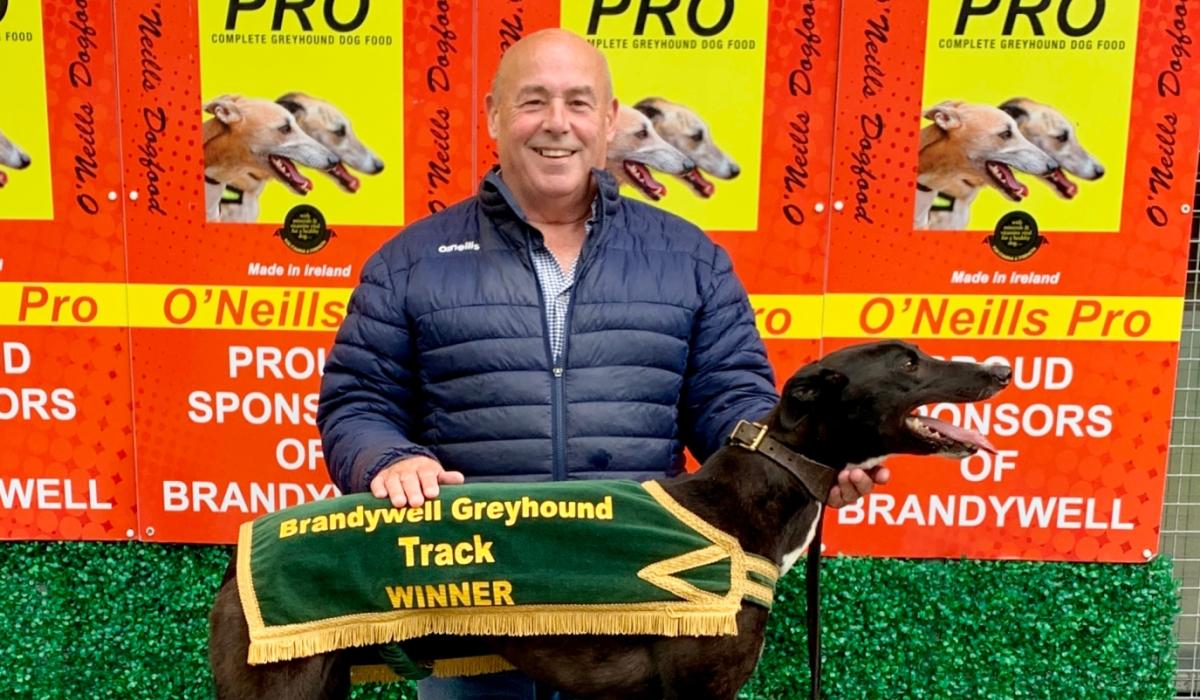 Derry Greyhounds: Beautiful Peggy gives Michael Feeney his 100th winner - Derry Now