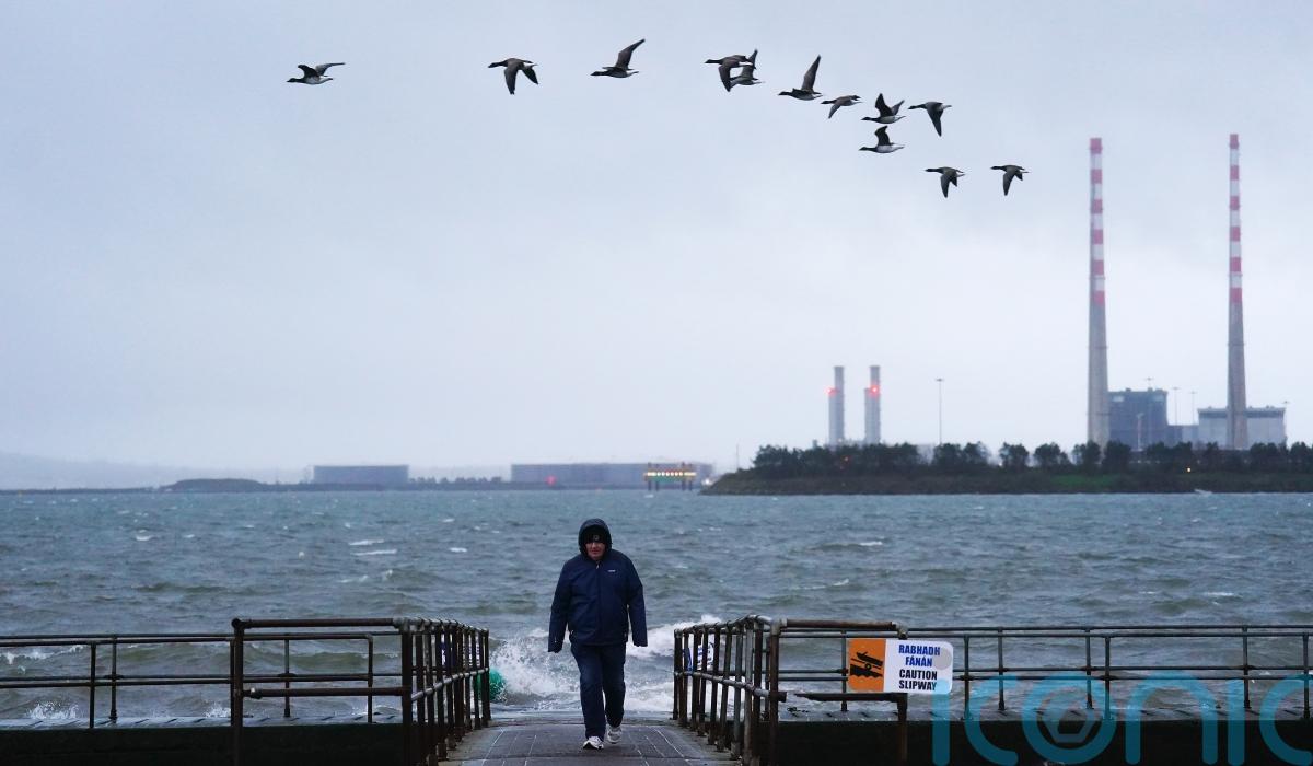 Seven counties under red wind warning as Storm Darragh hits Ireland ...