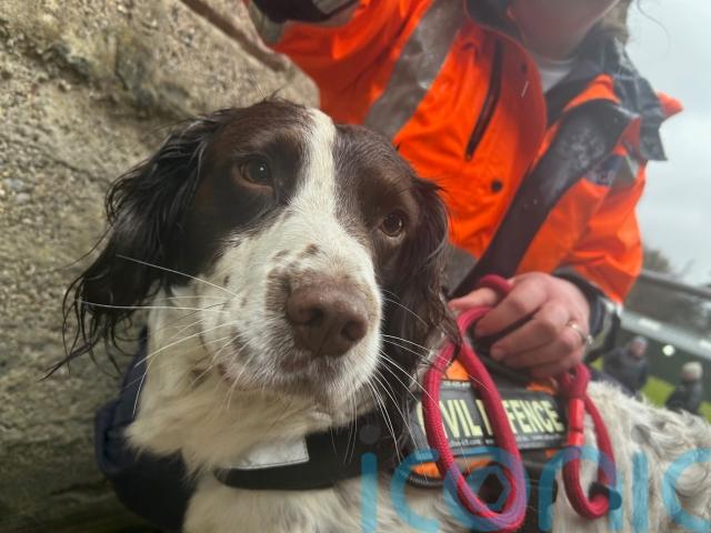 First female Civil Defence dog handler says canine partner ‘works for ...
