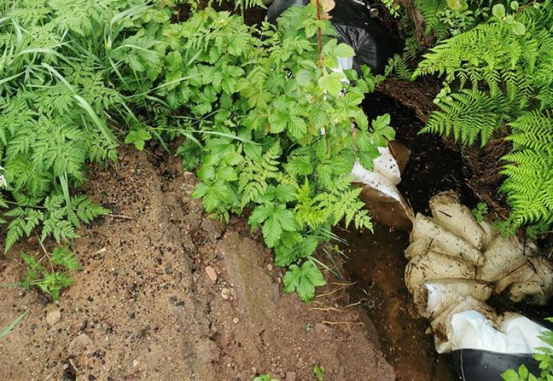 ‘Disgust’ as soiled incontinence pads dumped in stream - Derry Now