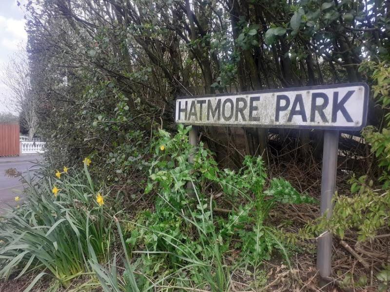 Insufficient support from residents of a Derry street for a new Irish ...