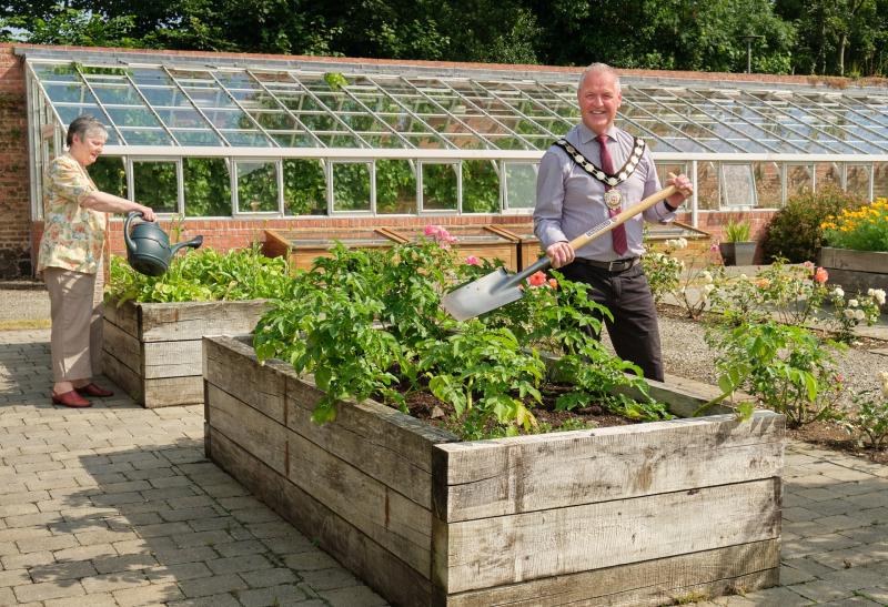 Free outdoor event to celebrate community gardens - Derry Now