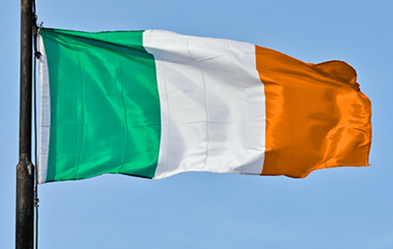 Derry woman jailed for burning Tricolour - Derry Now