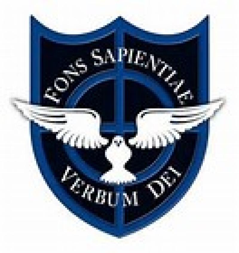 SCHOOLS GAA: Maghera into D'Alton decider - Derry Now