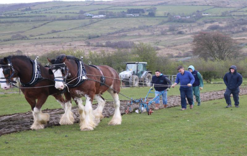 Claudy farm's social farming scheme a huge success - Derry Now
