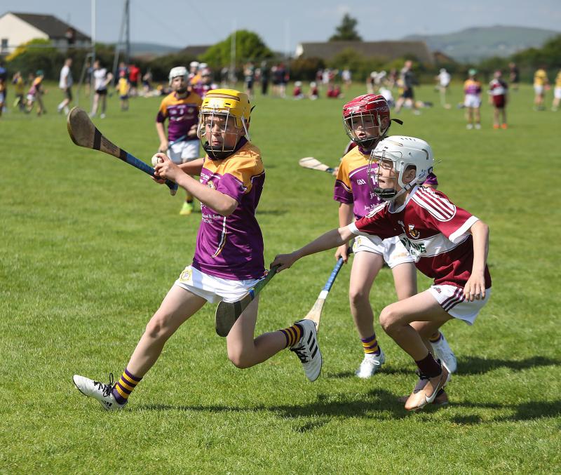 'He wanted the wains to have a hurl in their hands from whatever age ...