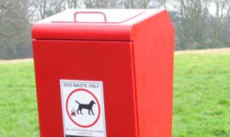 New campaign to tackle dog fouling in Derry launched - Derry Now