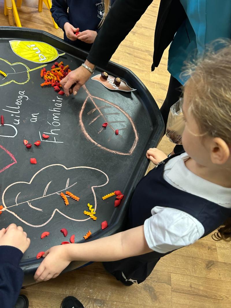 Derry Irish-medium Education has it all: Naíscoil, bunscoil agus meánscoil - Derry Now