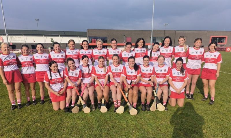 Derry Camogs fall to a heavy defeat in Kilkenny - Derry Now