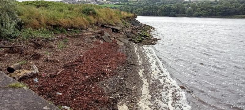 Clean-up of Derry's River Foyle embankment welcomed - Derry Now