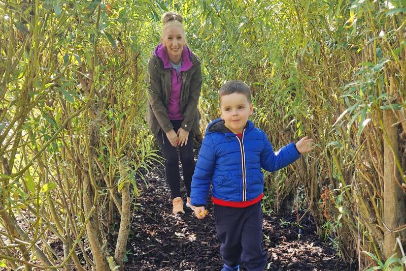 Revitalised Derry garden will offer ‘oasis’ for local people and ...