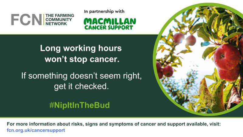 'Nip it in the Bud' campaign receives support from Derry and Strabane ...