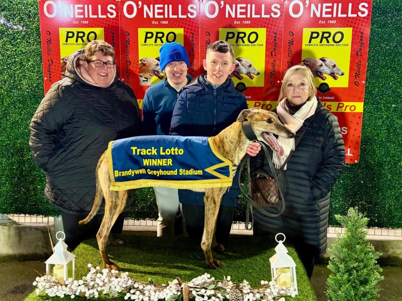 Derry Greyhounds: Starcash Barry nears century with victory lap - Derry Now